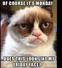 15+ of the Best Grumpy Cat Memes (Rest in Peace) | Mama's Geeky