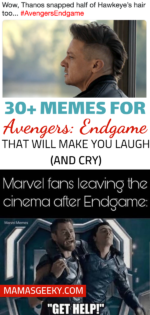 30+ Avengers: Endgame Memes That Will Make You Laugh (& Cry)