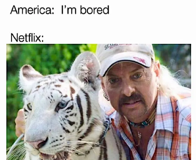 A Collection of the Very Best Netflix's Tiger King Memes