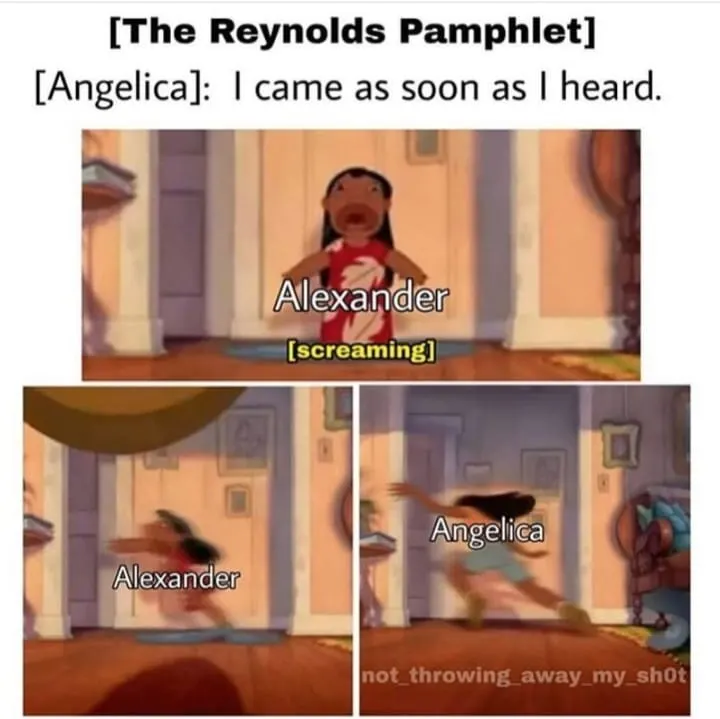 A Collection Of The Best Hamilton Memes