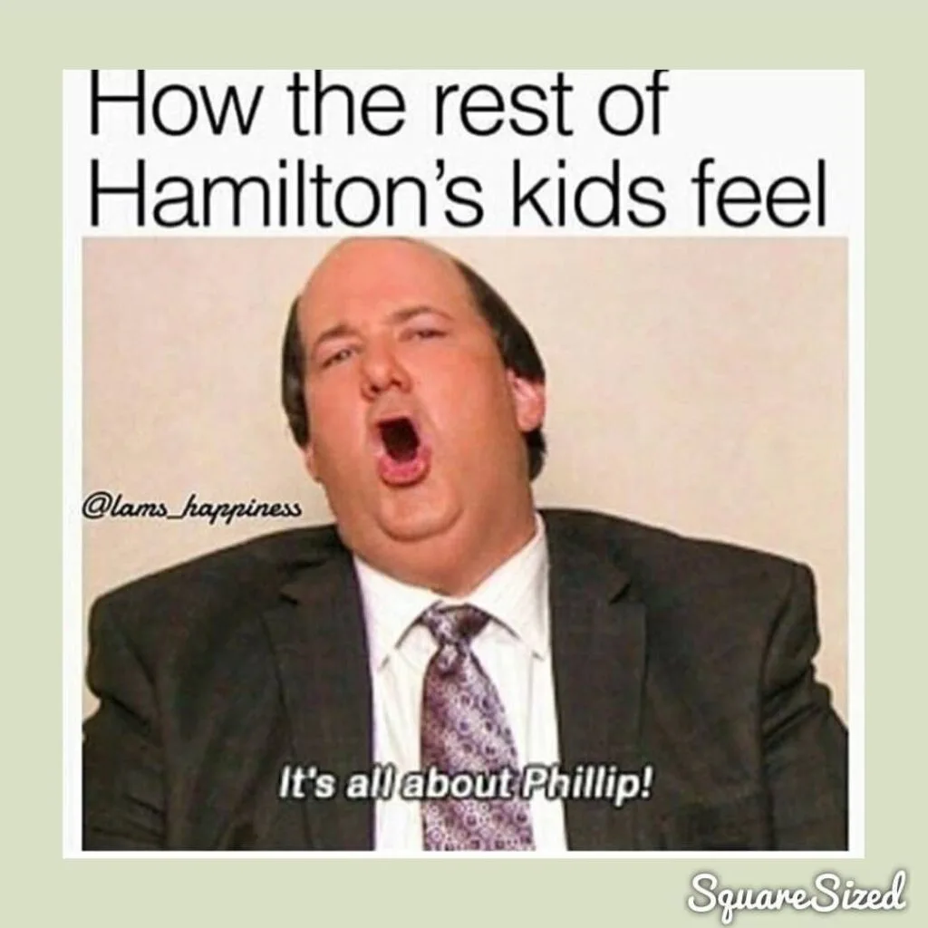 A Collection Of The Best Hamilton Memes