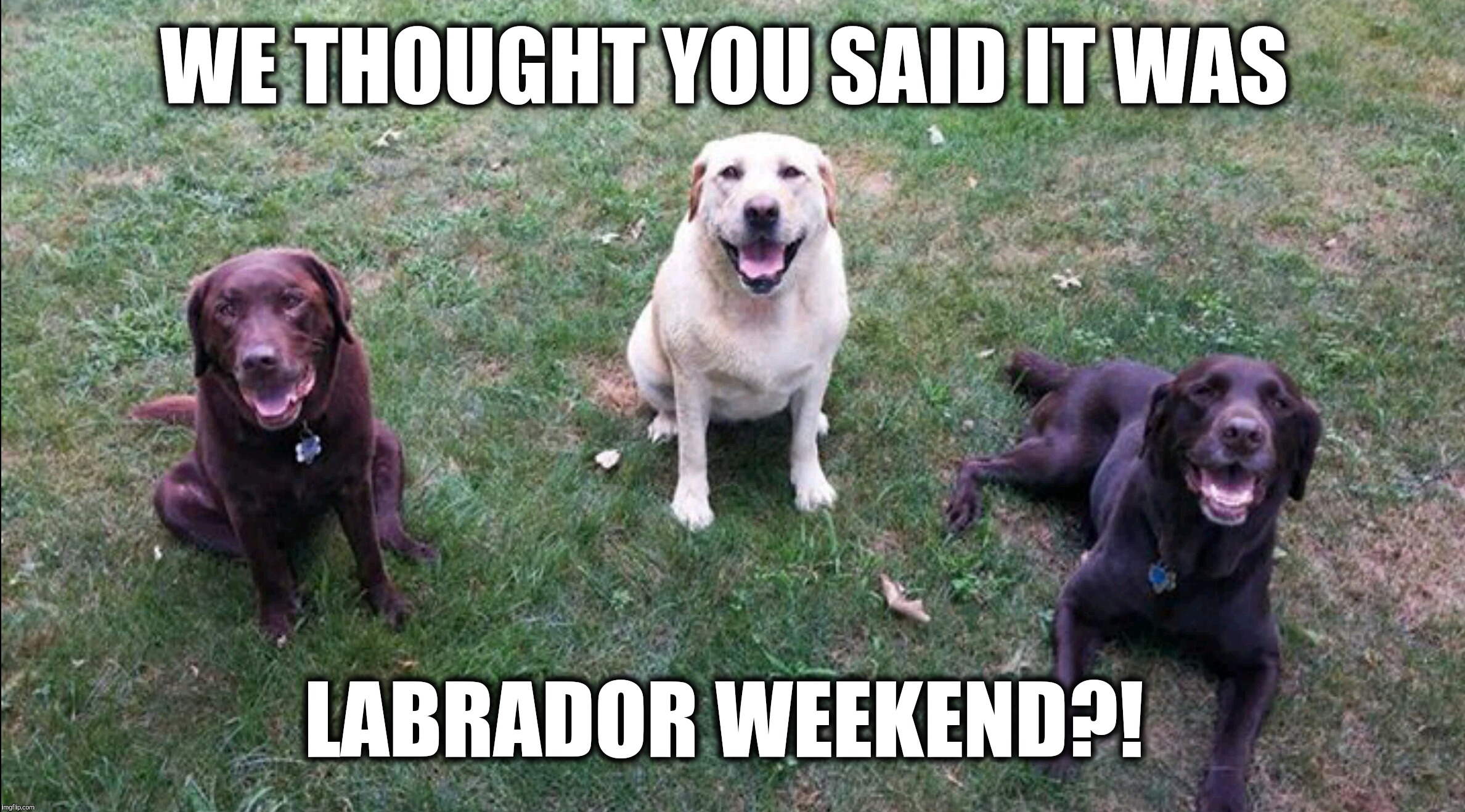 A Collection Of The Best Labor Day Memes