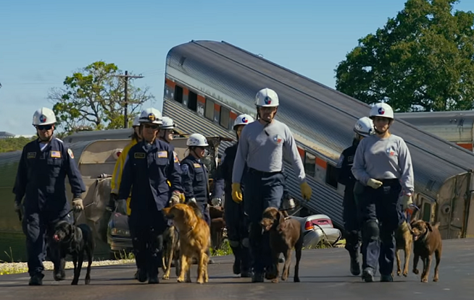 Superpower Dogs Review: Now On IMAX ON Hulu