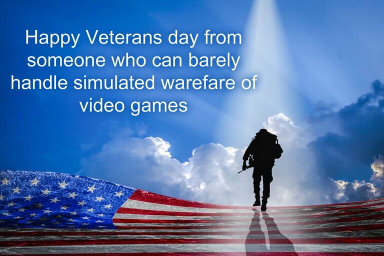 The Best & Most Touching Veteran's Day Memes