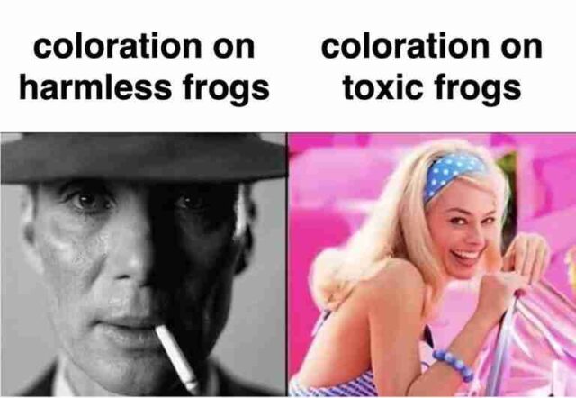 50+ Of The Funniest Barbenheimer Memes - Mama's Geeky