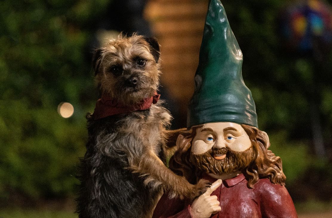 Strays Review: You've Never Seen A Dog Movie Like This